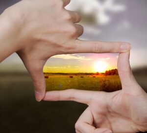 About – NeST Digital